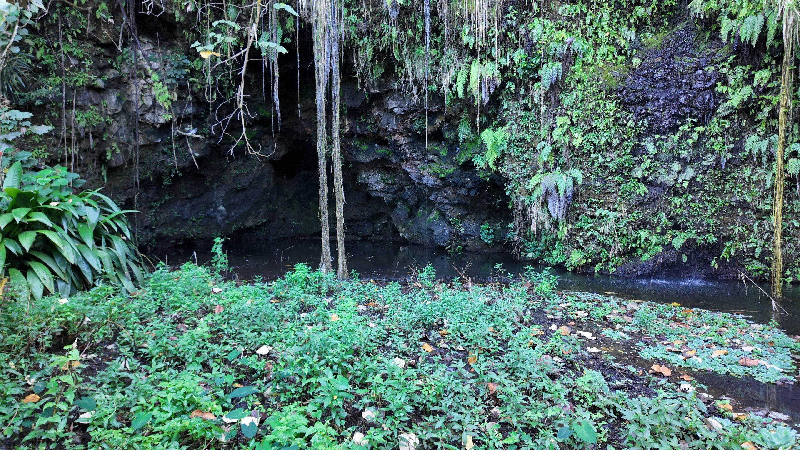 The Mara'a Caves - Practical Tahiti