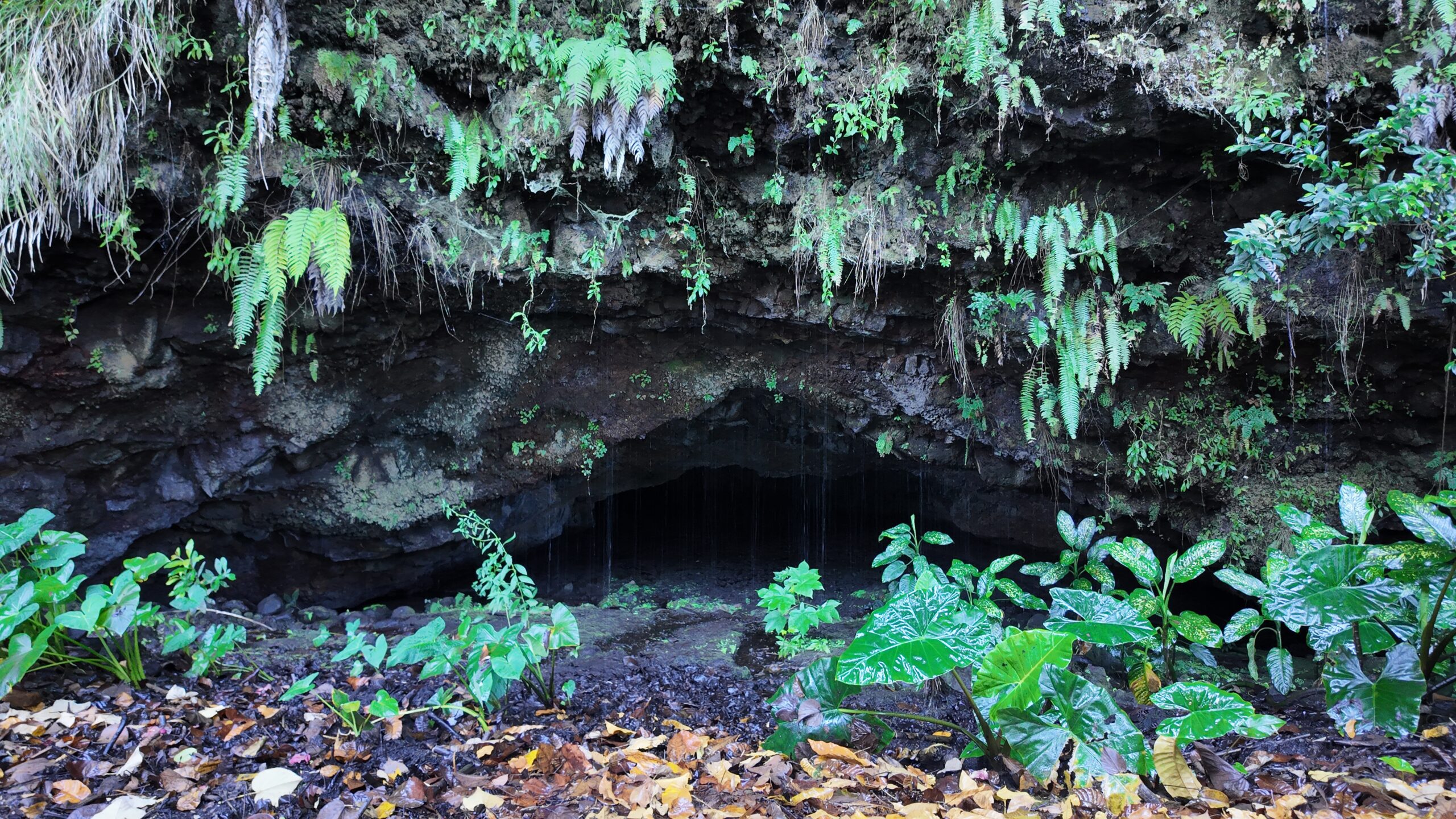 The Mara'a Caves - Practical Tahiti