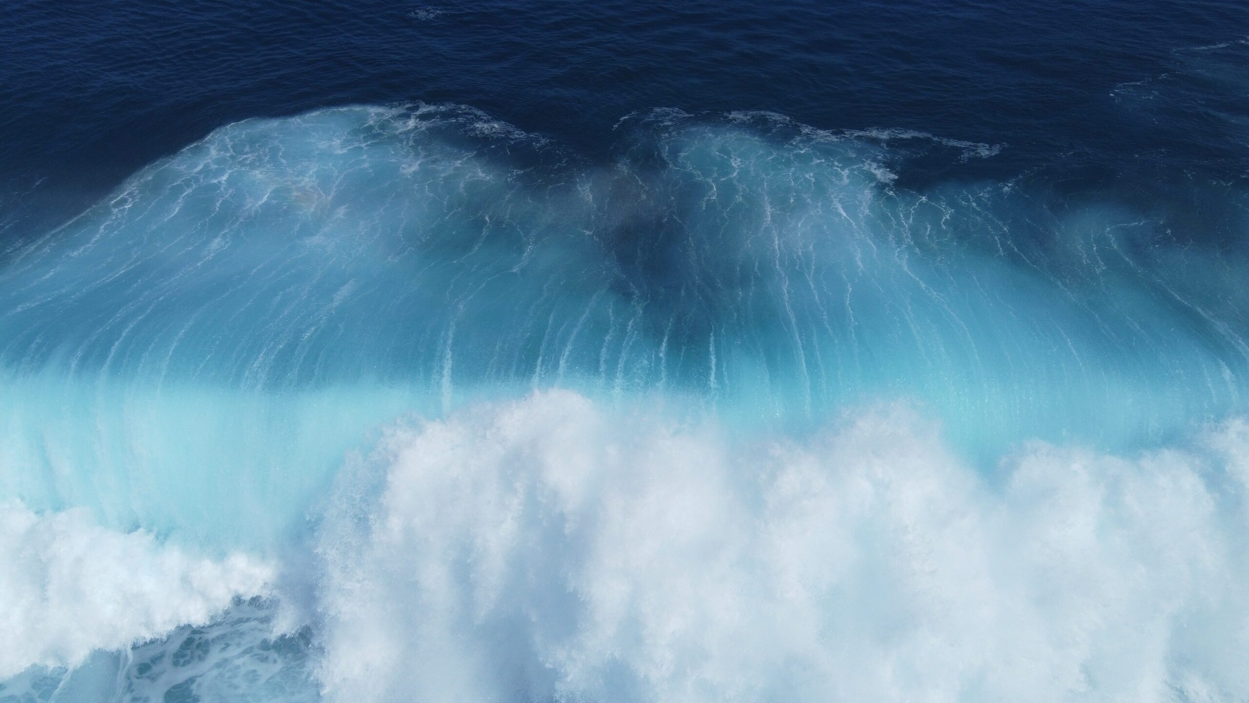 Teahupoo, la vague mais pas que... - Tahiti Pratique